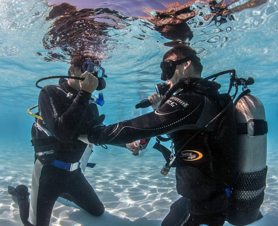 Safety & Supervision Standards - Scuba Dives